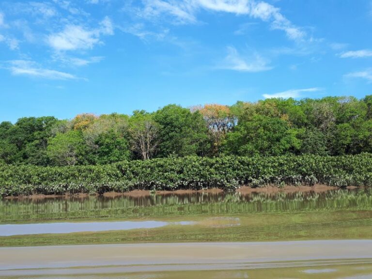 Humedal de Matusagaratí: cobra importancia internacional - Lo Bueno se dice